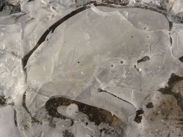 clouded ice texture 0005 - Texturelib